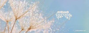 Spring Facebook Covers | EntheosWeb