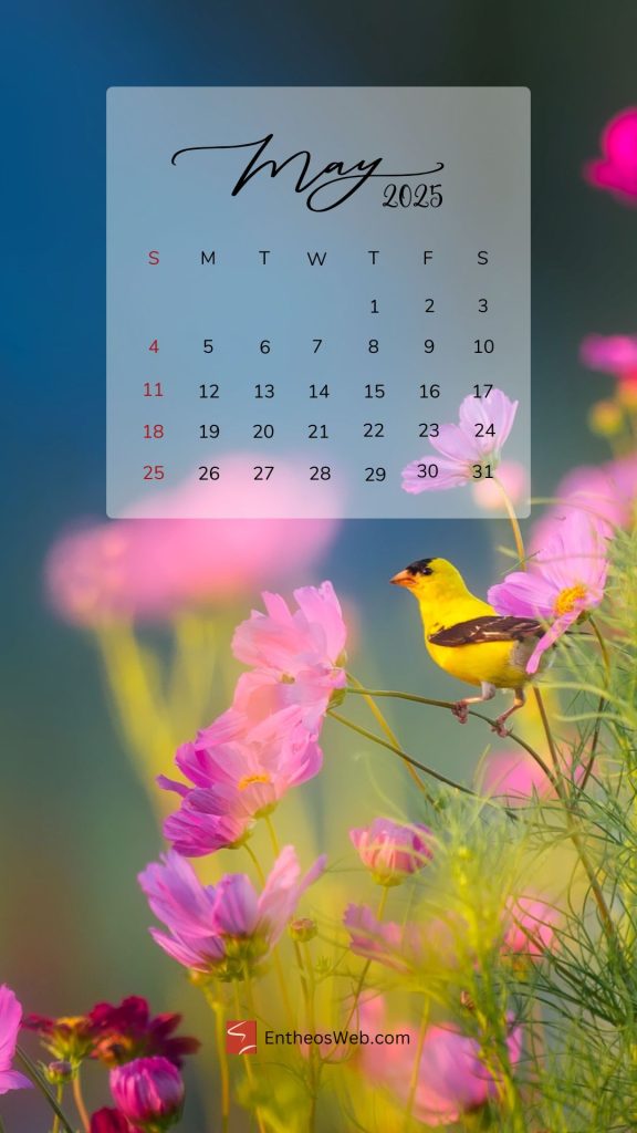 May 2025 Calendar Phone Wallpaper and Screensaver | EntheosWeb