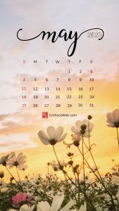 May 2025 Calendar Phone Wallpaper and Screensaver » EntheosWeb