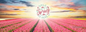 Spring Facebook Covers | EntheosWeb