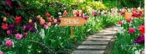 Spring Facebook Covers | EntheosWeb
