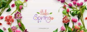 Spring Facebook Covers | EntheosWeb