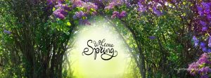 Spring Facebook Covers | EntheosWeb