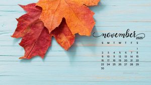 November 2025 Calendar Desktop Wallpaper Backgrounds | EntheosWeb