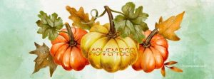 November Facebook Cover Photos | EntheosWeb