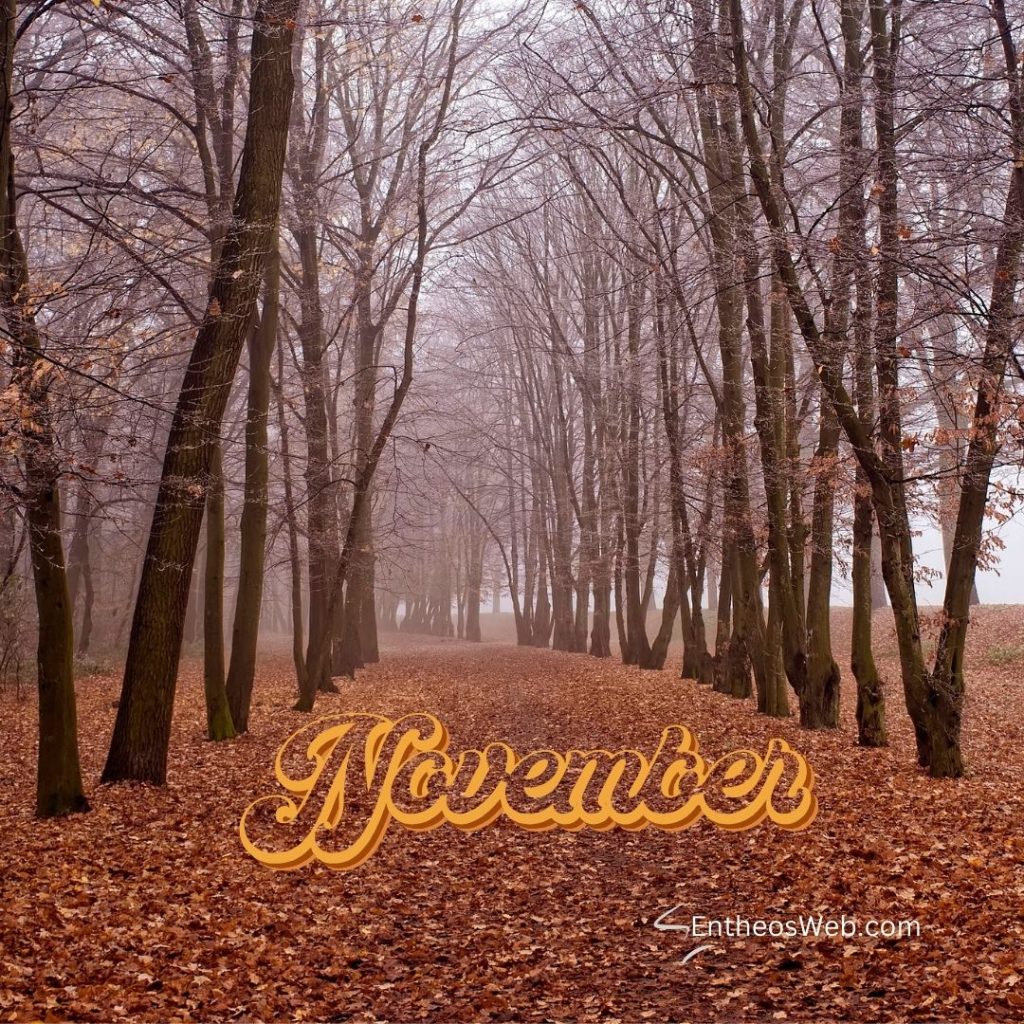 November Images | EntheosWeb