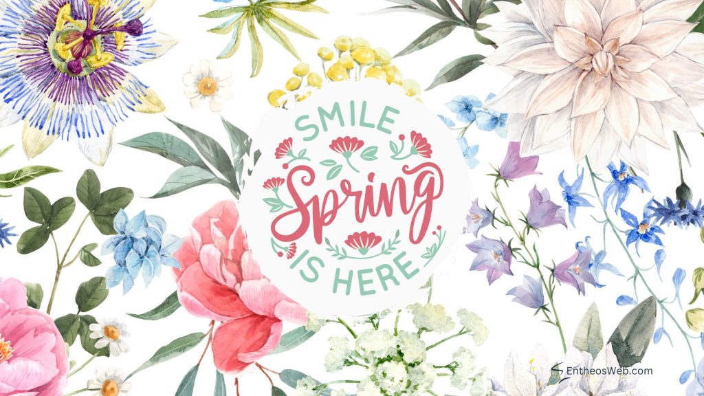 Spring Desktop Wallpaper – Flower/Floral Background Designs | EntheosWeb